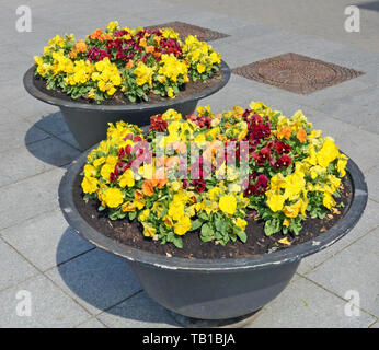 A closeup shot of a patch of soil with green plants Stock Photo - Alamy