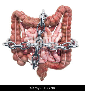 Abdominal pain concept. Human intestines with barbed wire. 3D rendering ...