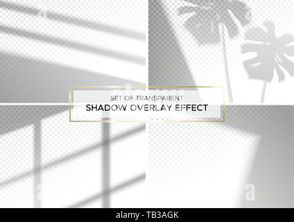 Set of Transparent Shadow Overlay Effects. Vector Illustration. Window Frames, Palm Tree and ...