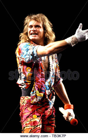 David Lee Roth (Van Halen) on im Oktober 1981 in . | usage worldwide ...