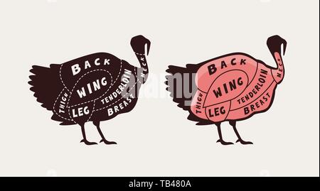 Turkey butcher diagram. Poultry meat cut guide isolated on white ...