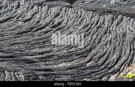 Pahoehoe-Lava structures, Isabela Island, Galapagos Islands, Ecuador ...