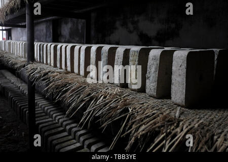 Wheat bricks fermenting in a dark cultivating yeast room in Kinmen ...