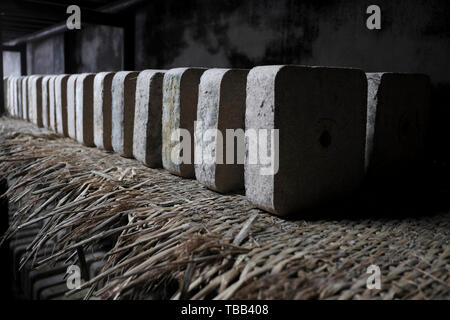 Wheat bricks fermenting in a dark cultivating yeast room in Kinmen ...