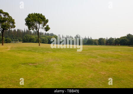 Shanghai Binjiang Forest Park Scenery Stock Photo - Alamy