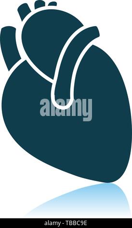 Human Heart Icon. Shadow Reflection Design. Vector Illustration Stock ...