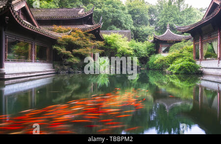 Scenery of the fish viewing spot in Huagang, Hangzhou, Zhejiang Stock ...