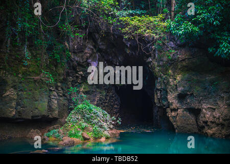 Natural Scenery of Maolan National Nature Reserve, Guizhou, Underground ...