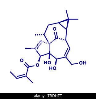 ingenol mebutate (ingenol-3-angelate) actinic keratosis treatment drug ...