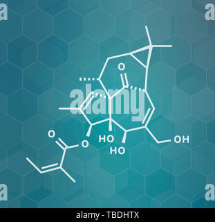 ingenol mebutate (ingenol-3-angelate) actinic keratosis treatment drug ...