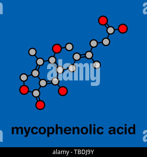 Structure of mycophenolate (mycophenolic acid) immunosuppressive drug ...