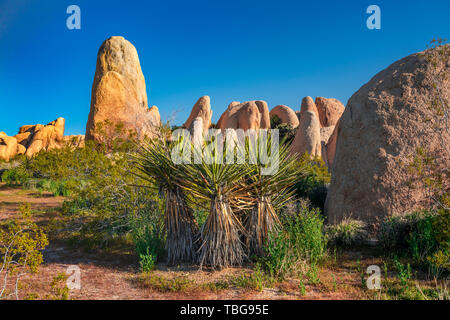 Rock piles in Joshua Tree National Park, California, USA Stock Photo ...