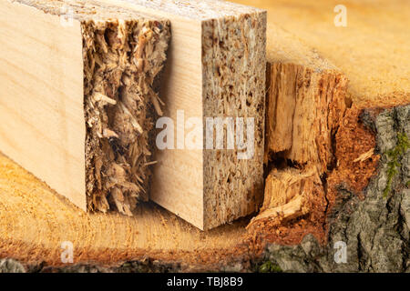 Particleboard on the trunk of raw wood. Materials for carpenters to ...
