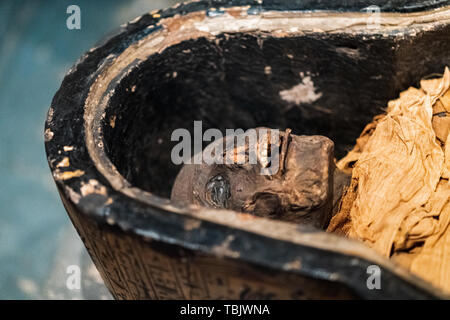 An ancient mummy lying down in a sarcophagus covered in wraps with the ...