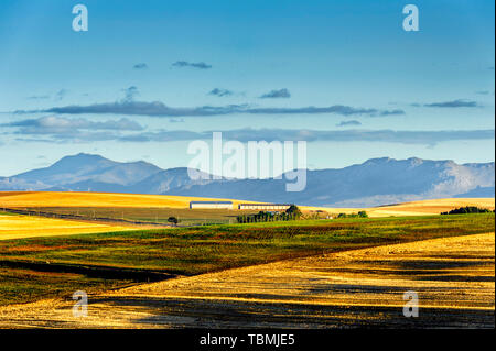 Caliden, South Africa Stock Photo - Alamy