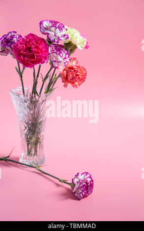 Carnation Moon and Mother's Day Stock Photo - Alamy