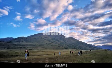 The Tuwa... with the grasses Stock Photo - Alamy