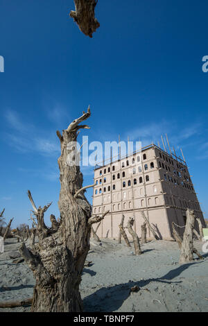 Poplar in the desert Stock Photo - Alamy