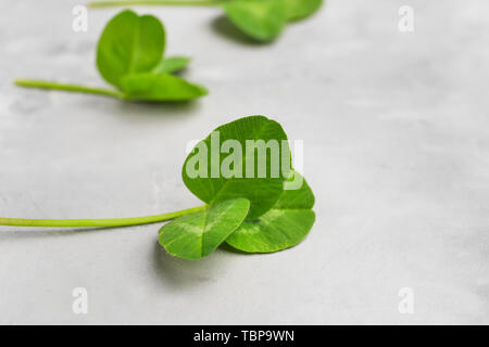 Fresh green clover on grunge background Stock Photo - Alamy