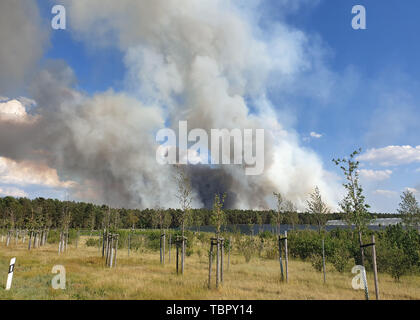 Hennickendorf, Germany. 03rd June, 2019. View of a column of smoke from ...