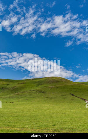 Hillside Prairie Road under blue sky and white clouds Stock Photo - Alamy