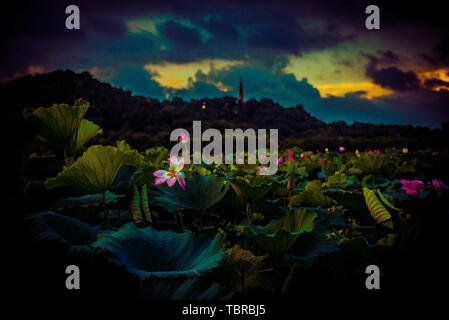 Photo the beautiful scenery after crossing the border with Typhoon West ...