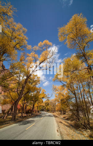 Mountain Road, Qilian County, Qinghai Stock Photo - Alamy