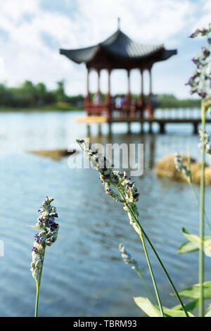 Shandong Zhangqiu embroidery river Stock Photo - Alamy