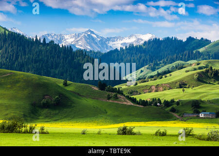 The Narati Prairie, which has a river valley and a mountain prairie ...