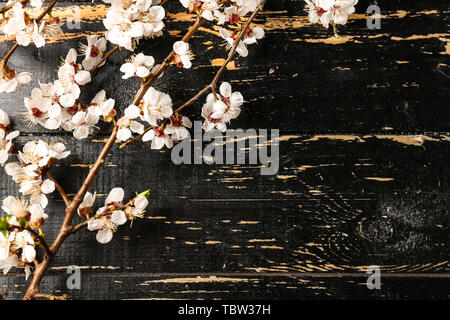 Beautiful blossoming branches on dark wooden background Stock Photo - Alamy