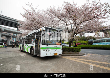 Nanpu bus station Stock Photo - Alamy