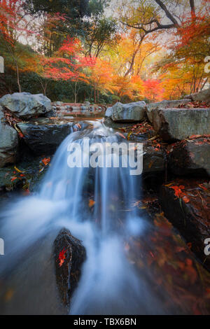 Hangzhou Jiuxi Smoke Tree Stock Photo - Alamy
