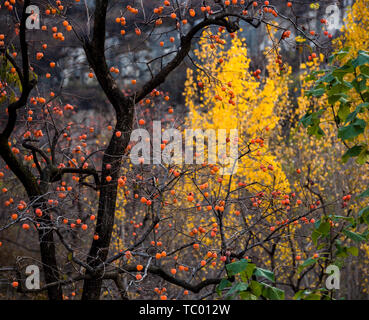 There's a kind of blue called emotional blue Stock Photo - Alamy