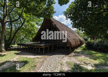 Ningbo Yuyao Hemudu Site Museum Stock Photo - Alamy