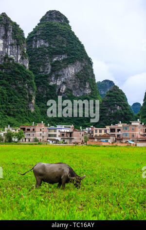 Shili Gallery, Zhongshan, Guangxi Stock Photo - Alamy