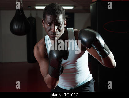 Confident afro american boxer holds training in the ring Stock Photo ...