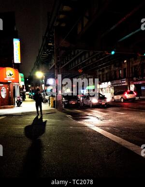 New York, NY - March 25, 2021: Italian Heritage and Culture Committee ...
