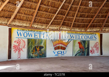 Traditional Amerindian Benab in Wowetta Amerindian Village in Guyana ...