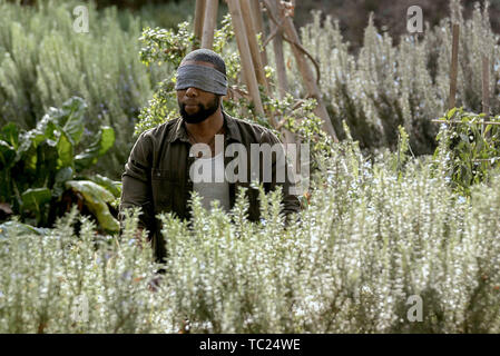 BIRD BOX (2018) TREVANTE RHODES SUSANNE BIER (DIR) NETFLIX/MOVIESTORE ...