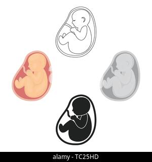 Fetus icon in cartoon style isolated on white background. Pregnancy ...