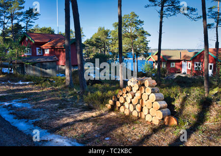 Pile of logs in winter, Sandhamn island, Stockholm archipelago, Sweden ...