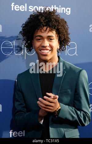 Tyler Timmons attends the Los Angeles Premiere Of HBO Euphoria held at ...