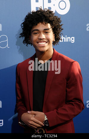 Tristan Timmons attends the Los Angeles Premiere of HBO's 'Euphoria' at Cinerama Dome on June 4 ...