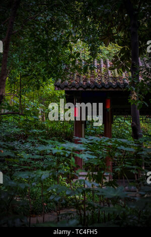 Hangzhou Mid-levels Forest Park Stock Photo - Alamy