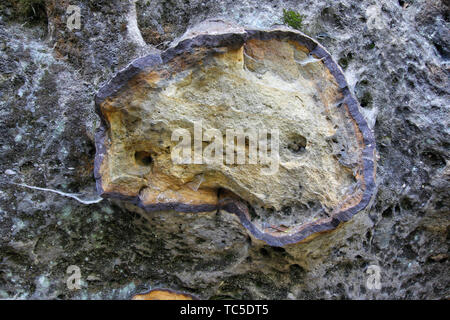 Bizarre geological formation - iron log in sandstone rocks - bog iron ...