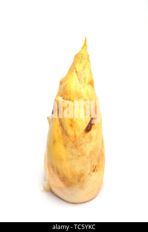 Whole and peeled fresh bamboo shoots on white background Stock Photo ...
