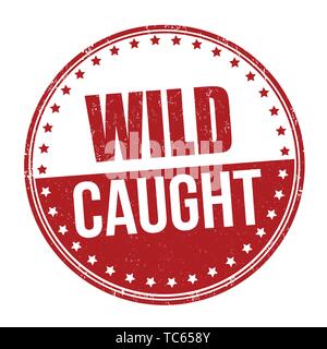 Wild Caught Fish Badge, Seafood Menu Label. Flat Vector Icon ...