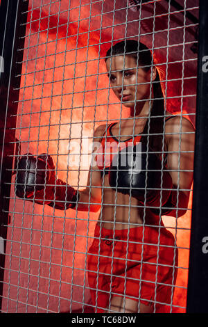 Attractive boxer standing behind wire netting and looking away Stock ...
