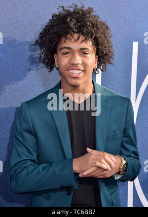 Tyler Timmons attending the HBO TV-Series 'Euphoria' at Cinerama Dome ...