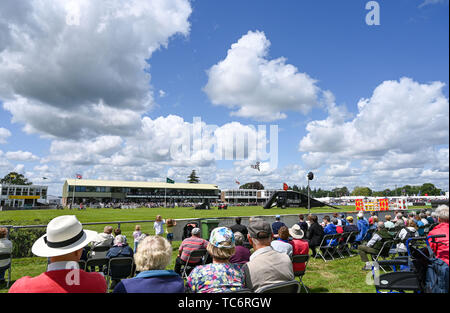 Ardingly Sussex UK 6th June 2019 - Sheep judging g on the first day of ...